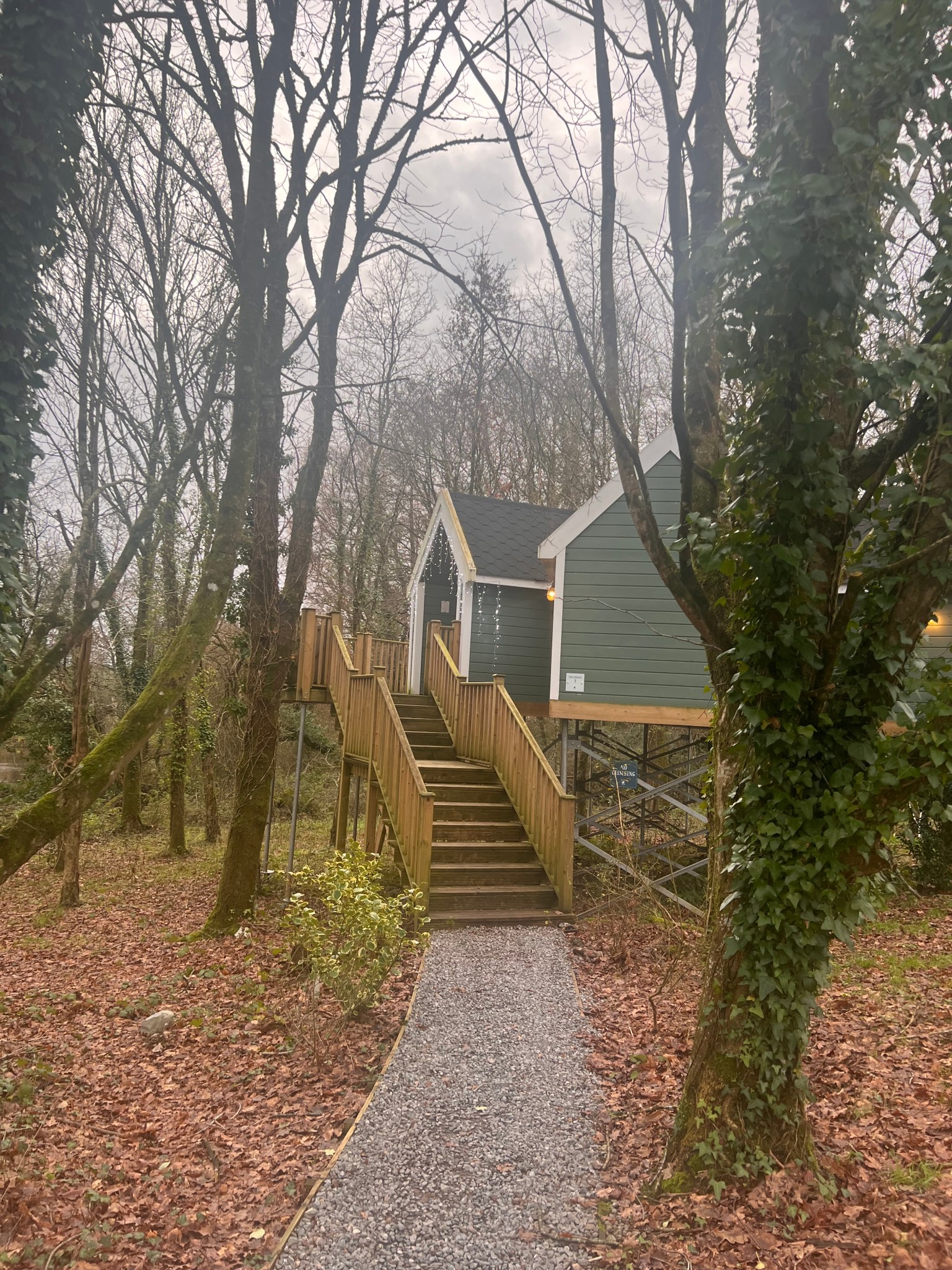 Christmas break in a tree house in Devon at Otterfalls – Life and Times ...